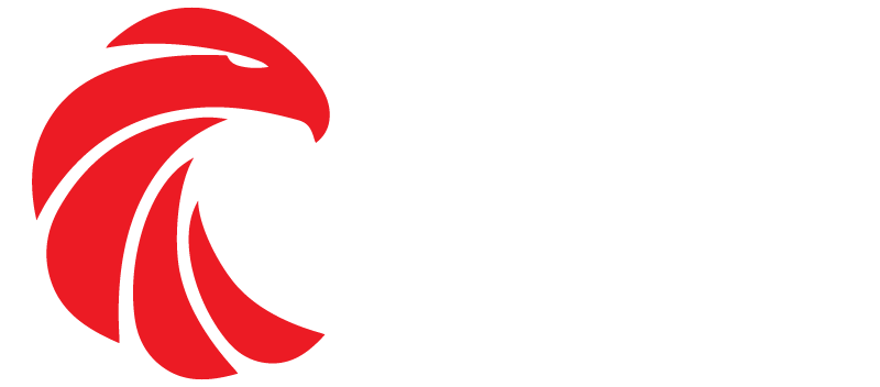 plan de seguridad - Delta Group Security